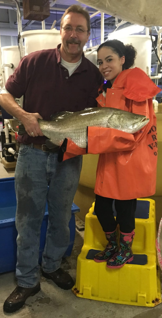 The Sound School – Engaging. Authentic. Meaningful. Transformative